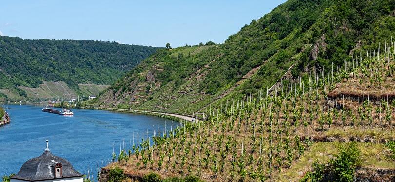 Moselle Cycle Path - Highlights - 3 Nights