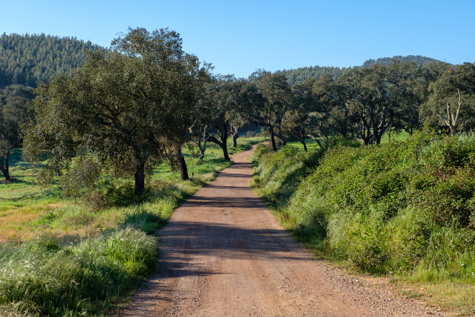Walk Portugal's Rota Vicentina - Maximum Adventure