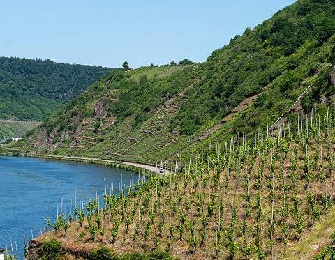 Moselle Cycle Path - Highlights - 3 Nights