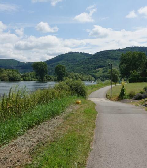 Moselle Cycle Path (North)