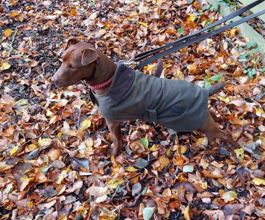 Our News | The Latest Information from Maximum Adventure